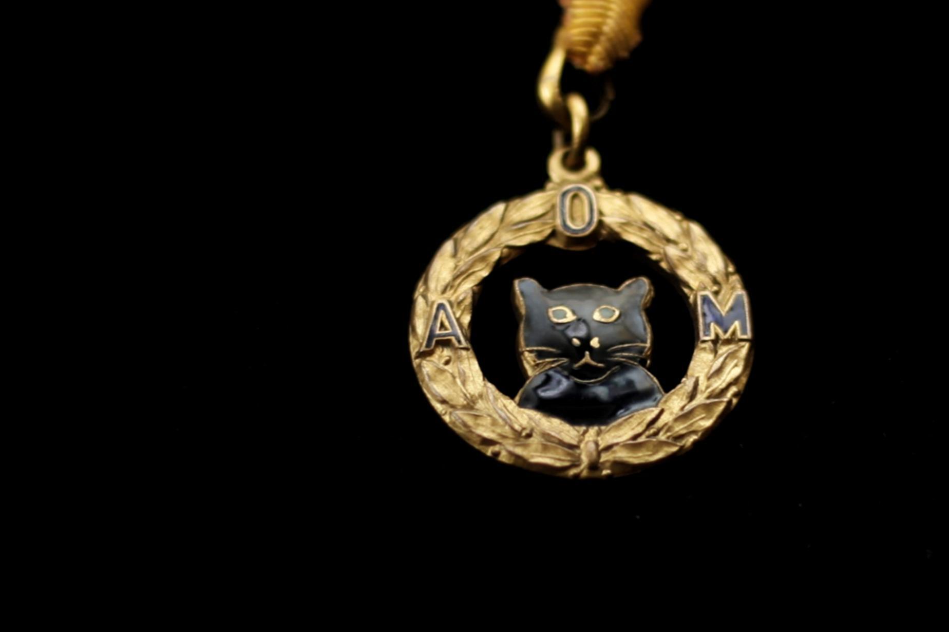 This week in Masonic Periodicals: 20 tons of cat mummies | Museum of ...